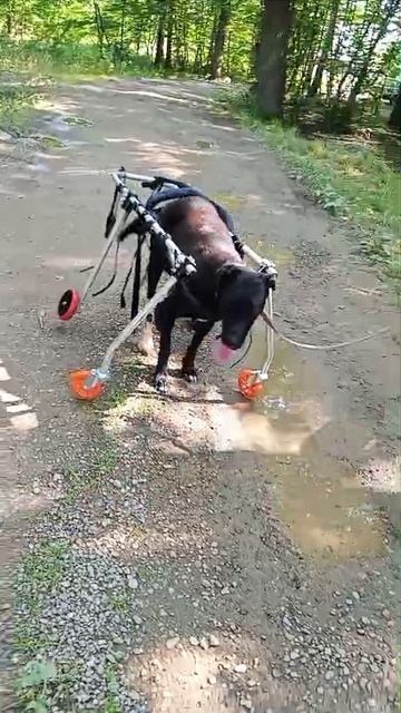 WhatsApp Video 2025-06-25 at 14.11.43