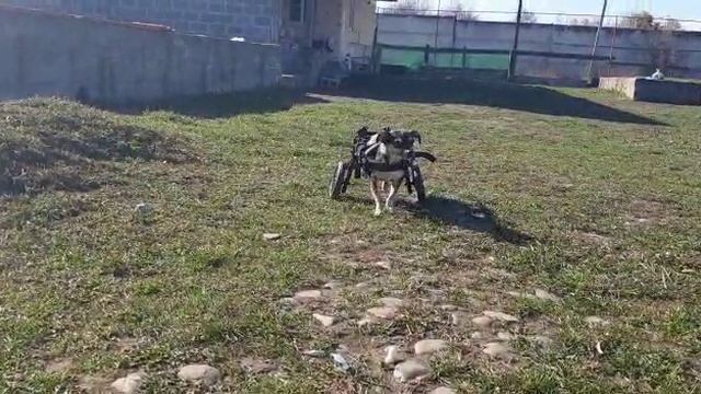 WhatsApp Video 2019-10-25 at 20.37.45