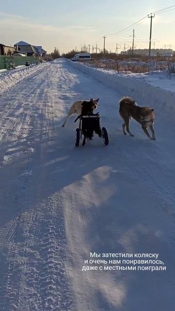 VID_20240902_165949_254