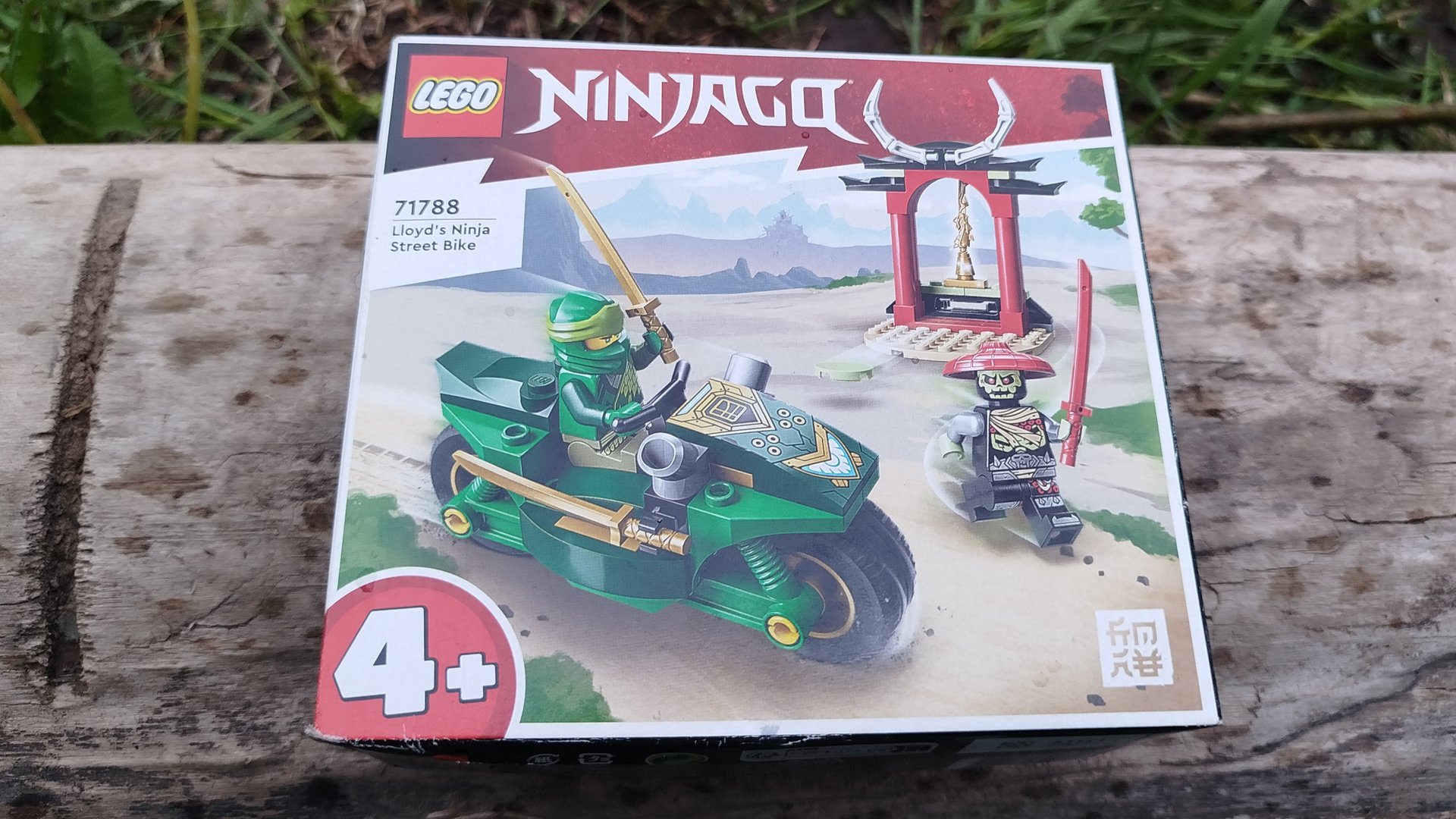 Lloyd's Ninja Street Bike