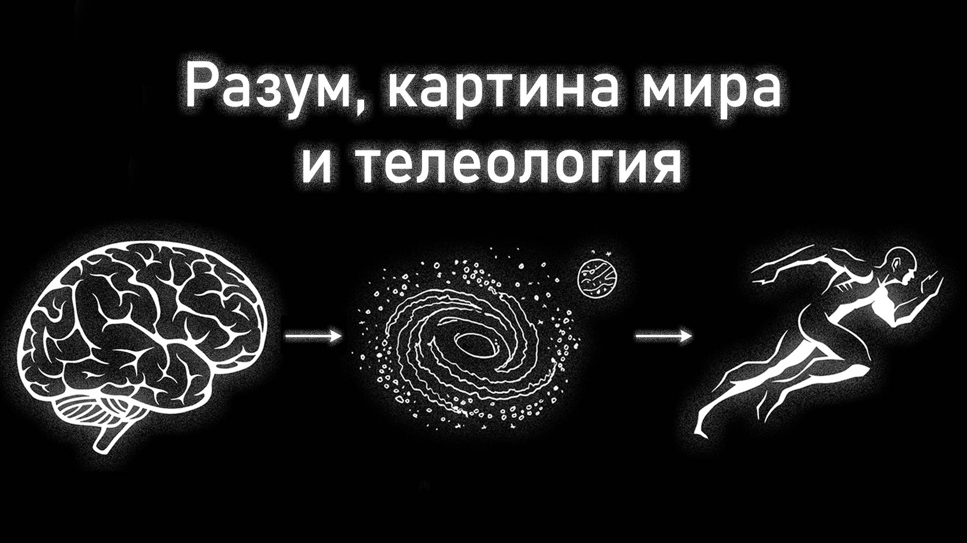 Как человек создаёт картину реальности и свои цели в ней. Глава 17. Введение в автоэволюционику