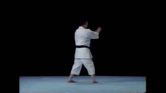 Сейенчин Вид сзади