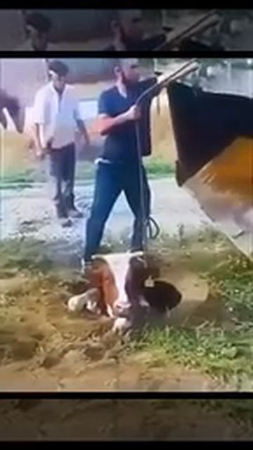 Достойный-поступок