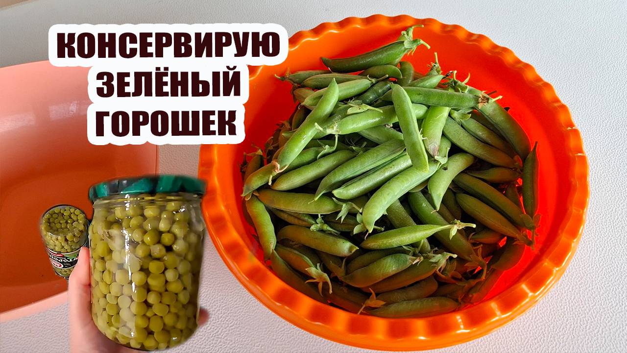 Консервирую зелёный горошек 🥫