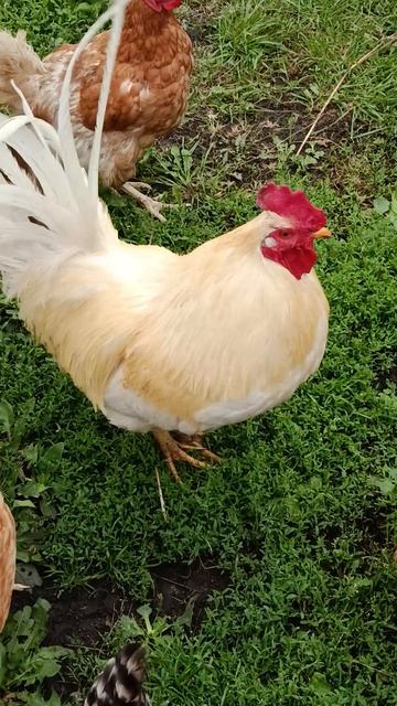 Семья под контролем