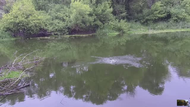 Рыбалка на р.Оскол. 14.06.2025г.