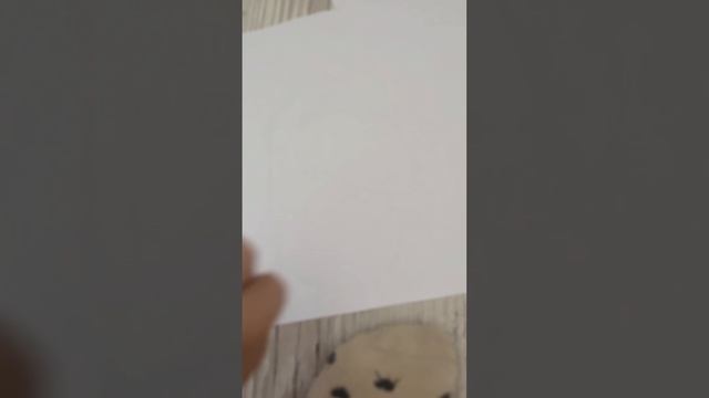 Как сделать террариум для бумажных питомцев своими руками 🐭🐹🐸🐌🐢🐍🦎