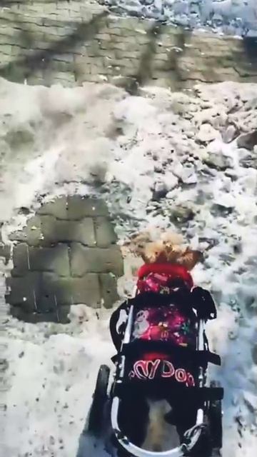 YouCut_20220410_222429946.mp4