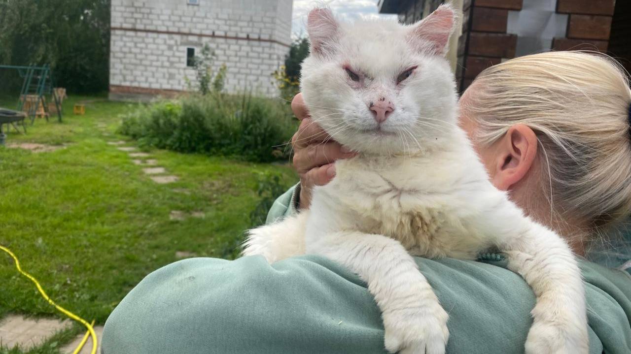 Из грязи - в князи!