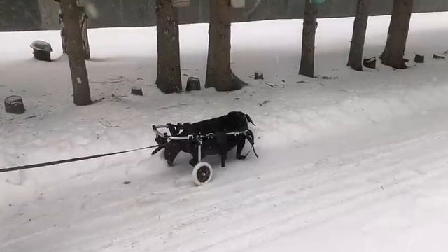 VID_20241208_122650_801