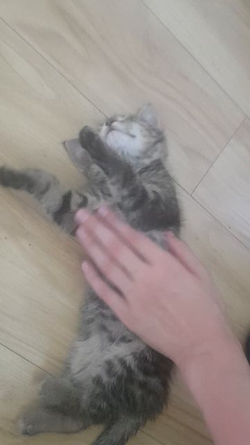 Хочу спать!