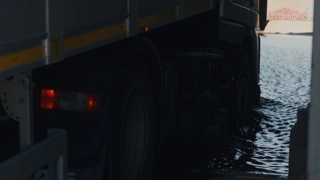 Скворцово_элитные поросята 27_06_2025_V3