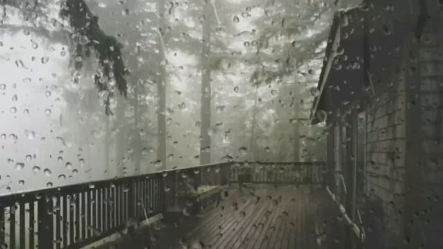 Дождь | Успокаивающие звуки природы | Релакс | Медитация | Чилаут | Спокойный сон