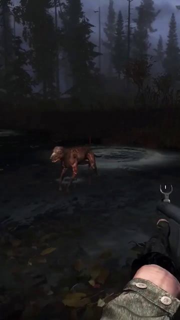 Пси Шторм Сталкер СВ В Паутине Лжи