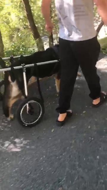 WhatsApp Video 2025-07-17 at 23.45.41