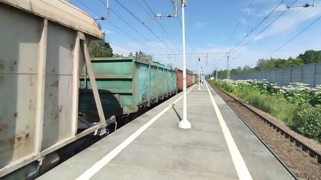Станция Елизаветино. Ленобласть. Июль 2025.