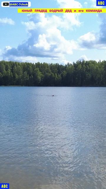 Ежедневные утренние тренировки деда 08.08.2025 #юныйпрадедбодрыйдед #будогощь