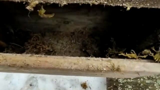 Время скворечников. Весна 2022.