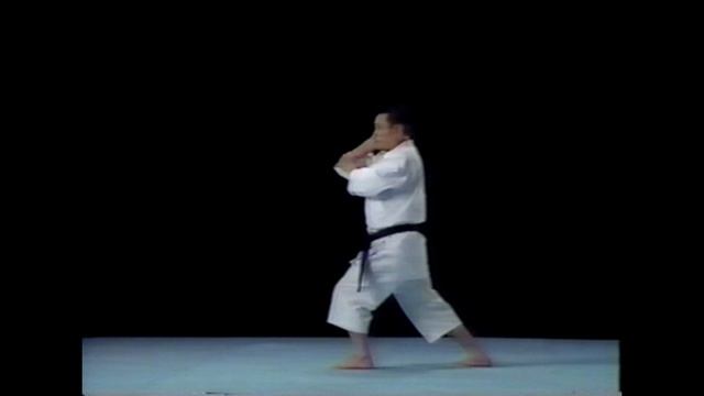 Сейенчин вид сбоку