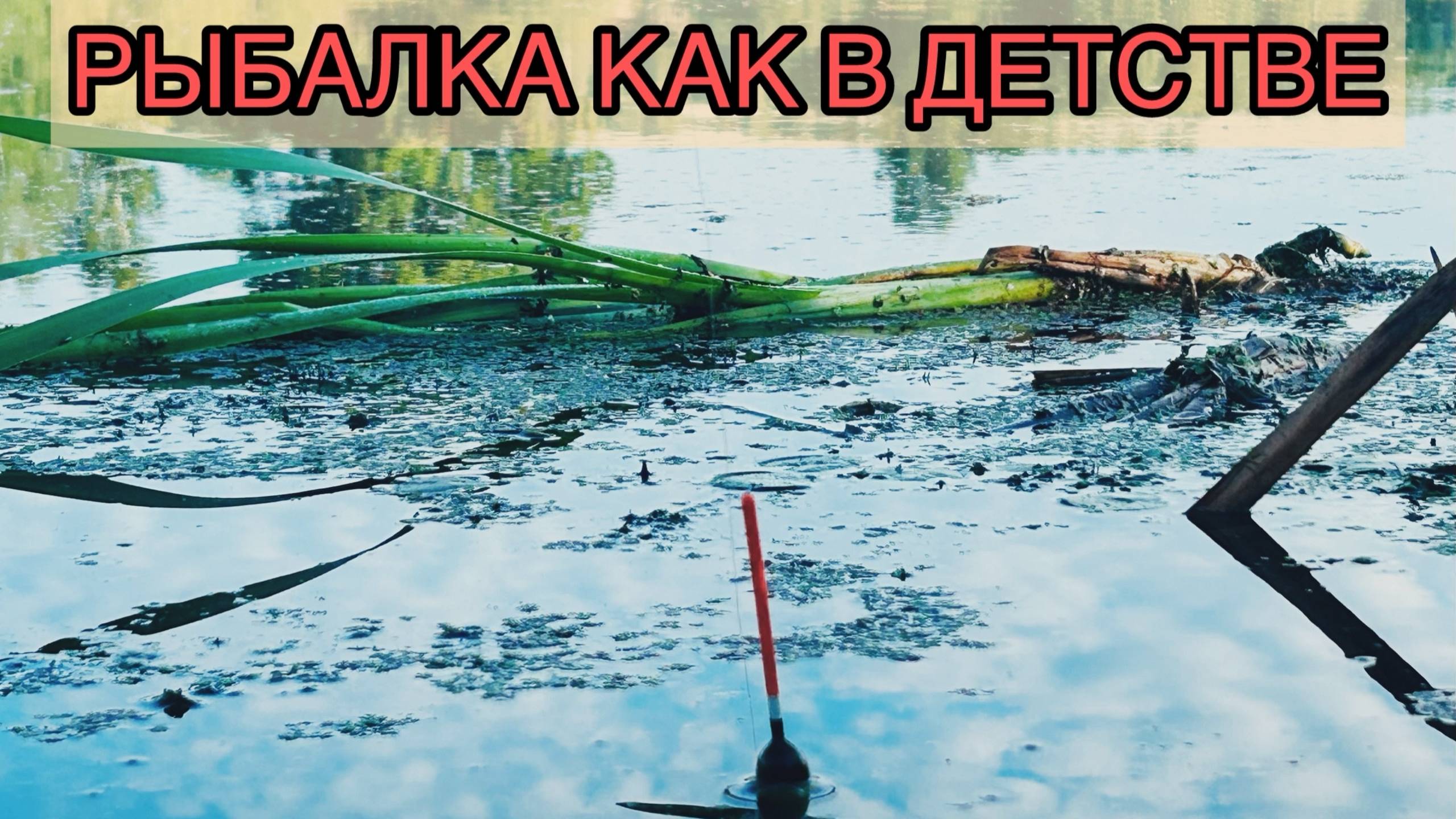 ЭТОТ ЗАЛИВ КИШИТ КАРАСЯМИ! РЫБАЛКА из ДЕТСТВА на ПОПЛАВОК в АВГУСТЕ !