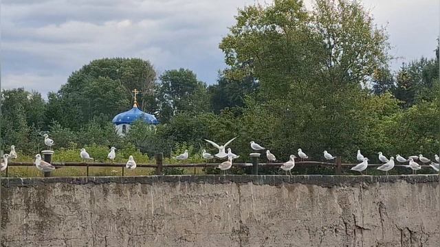 Шлюзование на Новосибирской ГЭС. Экскурсия по Оби.