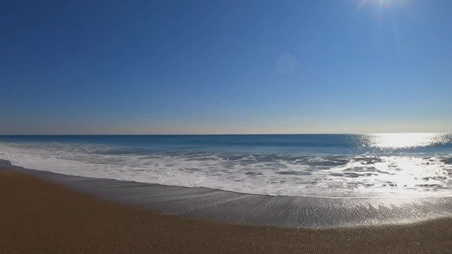 Волна-куртизанка