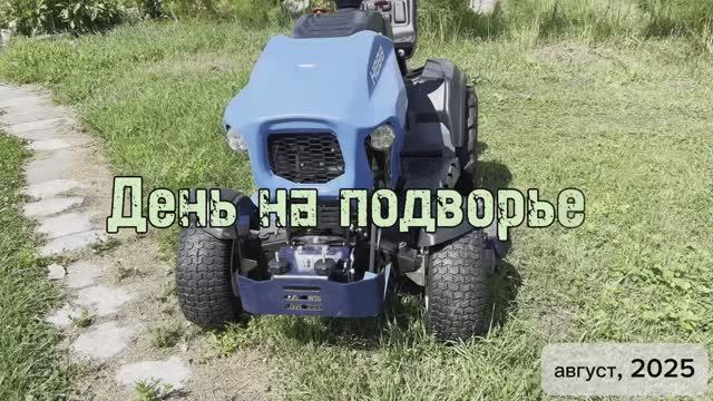 День на подворье, август 2025