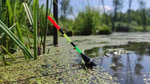 ТАЙНЫЙ ЗАПАХ СРАБОТАЛ! Закормил этим в ИЮЛЕ и ПОНЕСЛОСЬ! Секреты рыбалки 2025