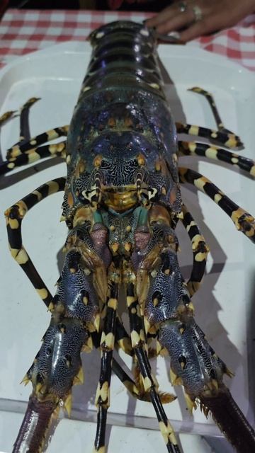 Закат на западе Мозамбикского залива Мадагаскара