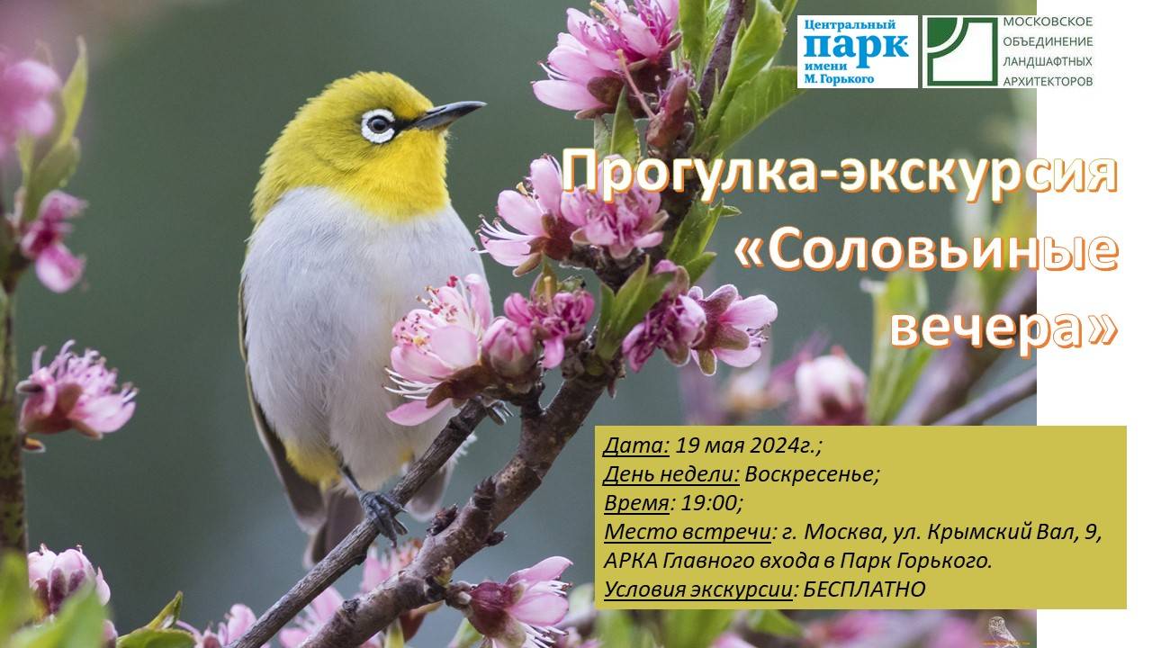 2024_Экскурсия в Парк Горького