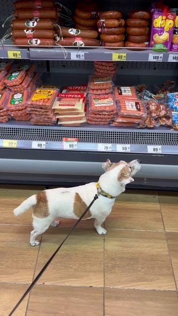 А что, по 2.20 колбасы уже нет 😂