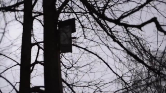 Межсезонье на даче. Тоскливо и не очень красиво.