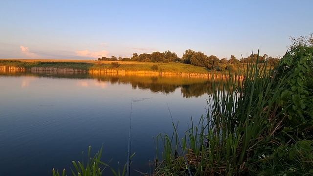 Рыбалка на вечерней зорьке.