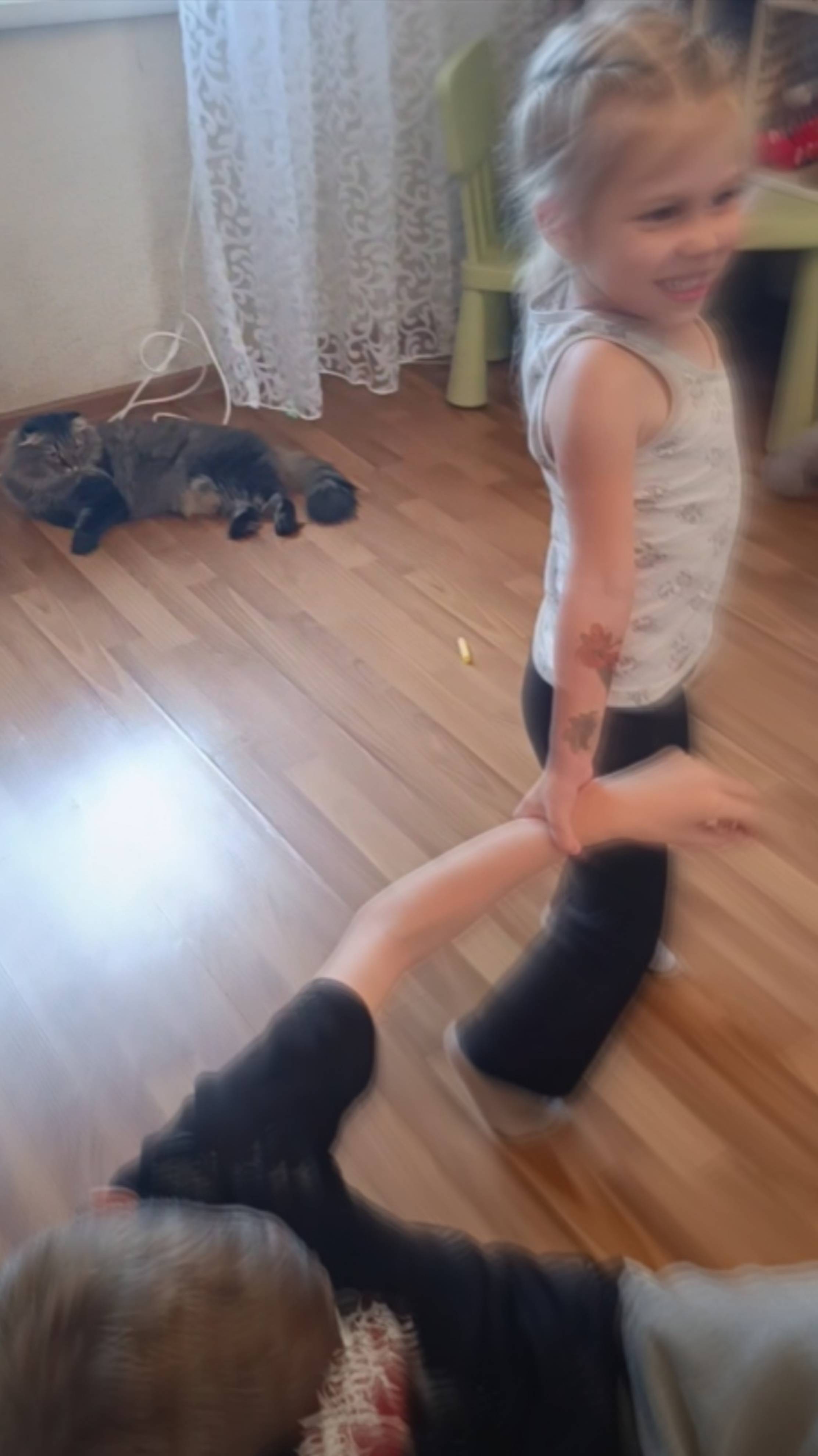 У кота своя атмосфера 😼😅 #кот #cat #shorts