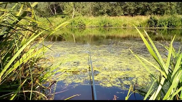 СНИМАЕМ КРОШЕЧНЫЙ ПОПЛАВОК НА 8 М ЧЕРЕЗ ВИДЕО НАСАДКУ