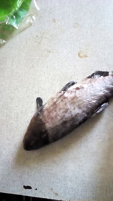 КАК ПРАВИЛЬНО ЧИСТИТЬ ЛИНЯ