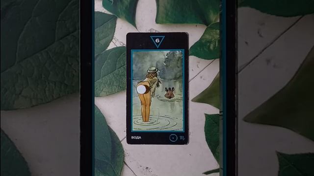 Для начинающих.Таро Манара.Младшие арканы.Шестерка Воды.