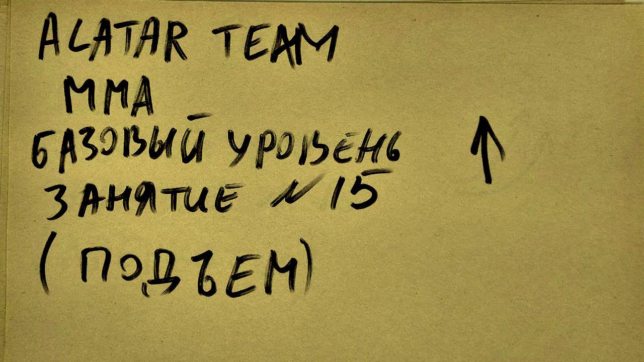15 занятие по ММА (смешанные единоборства) Alatar team ᴸⁱᴹᵉ  Денис Алаторцев