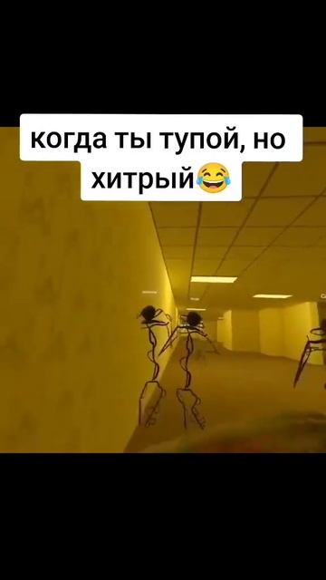 Когда я тупая но хитрая)