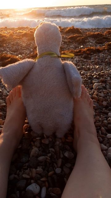 Встреча заката с гусём у моря - это кайф