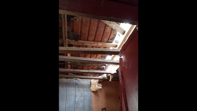 Разбираем крышу пристройки