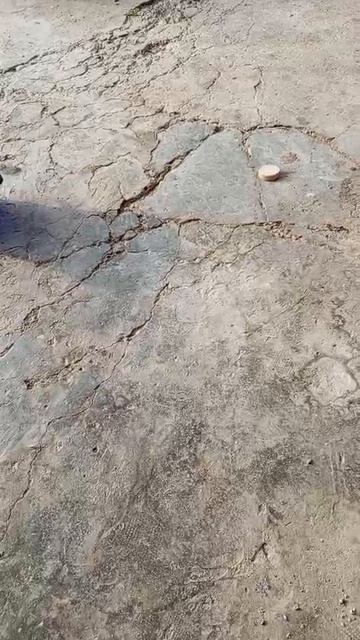 Фишка: как надо съесть колбасу,но выплюнуть таблетку.