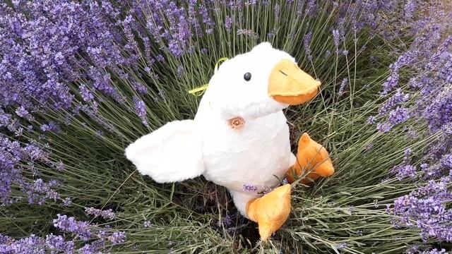 Гусь 90 см. отдыхает в лаванде