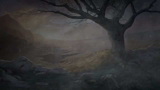 04 - Birth of the day