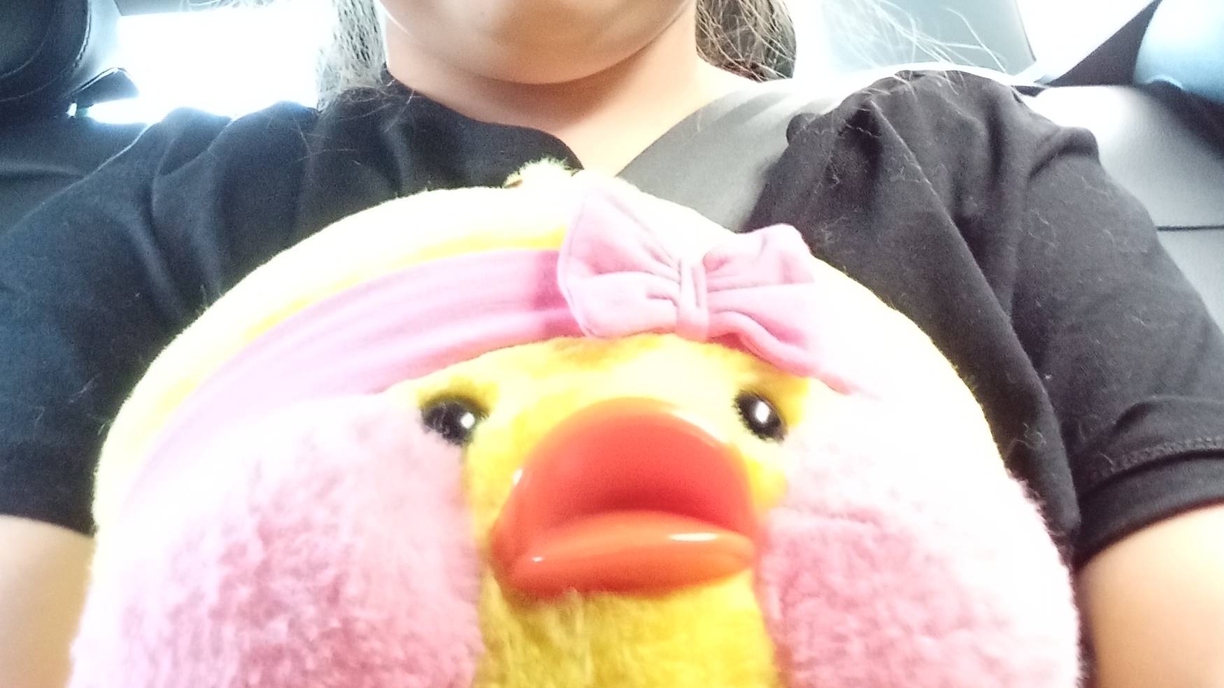 поездка в Екатеринбург с земляникой