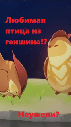 А КАКАЯ У ТЕБЯ ЛЮБИМАЯ ПТИЦА??? #геншин #Gensin Impact #Зяблики