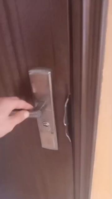 Украина. Доброполье. Активизировались банды марадеров. 09.08.2025.