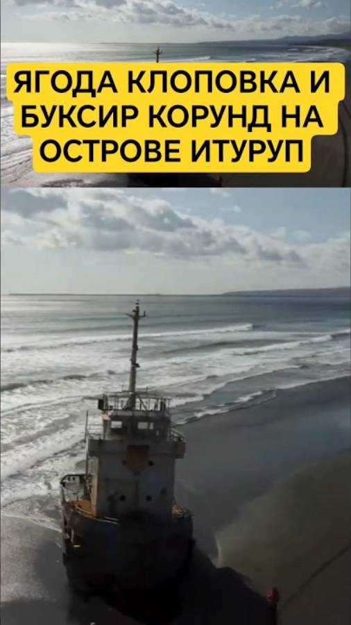 Ягода с запахом клопов и застрявший буксир — Итуруп удивляет!