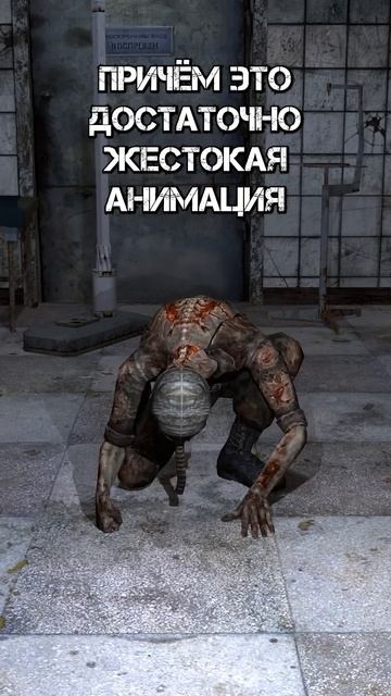 А знали ли вы факты S.T.A.L.K.E.R