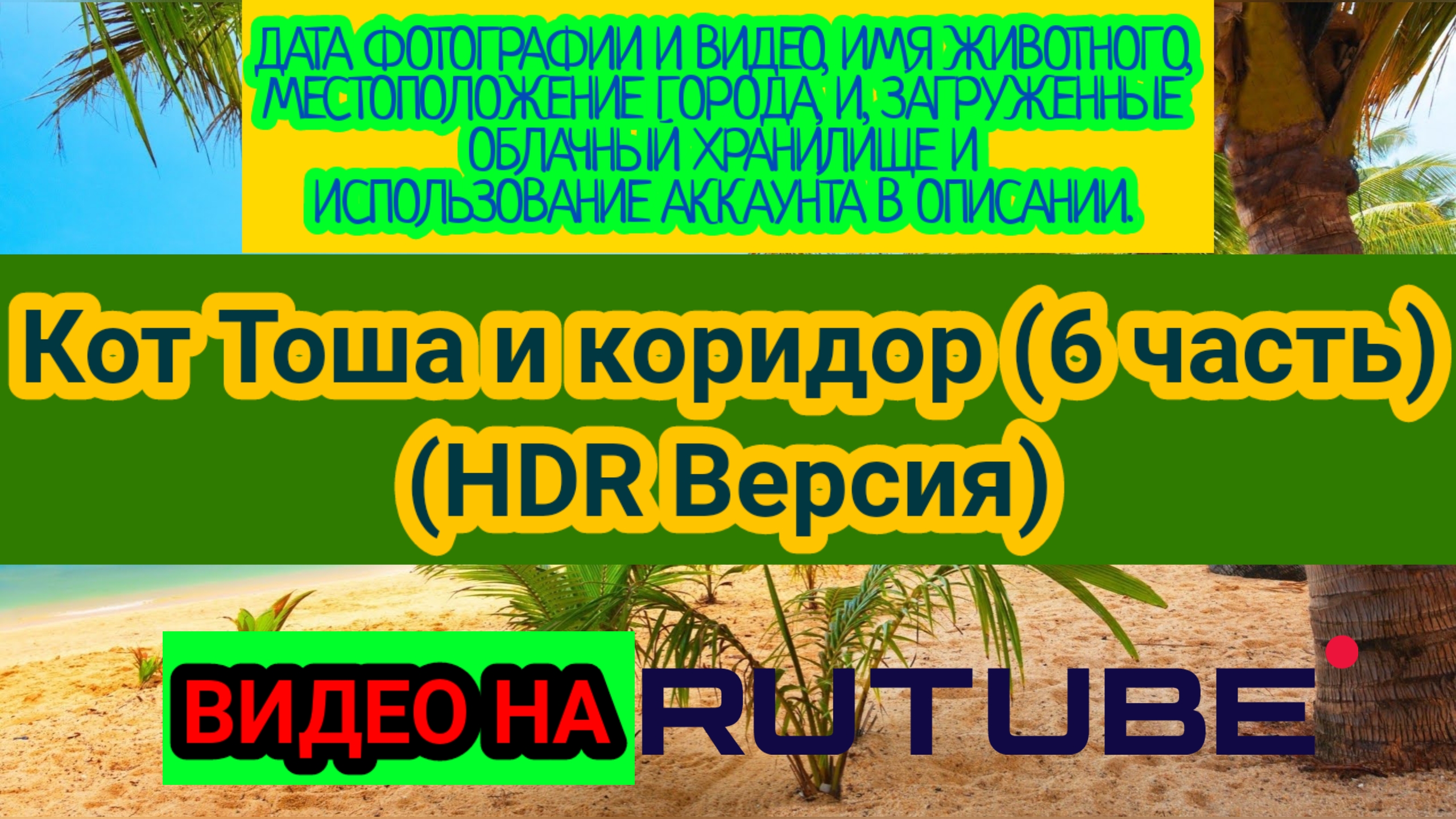 Кот и коридор (6 часть) (HDR Версия)